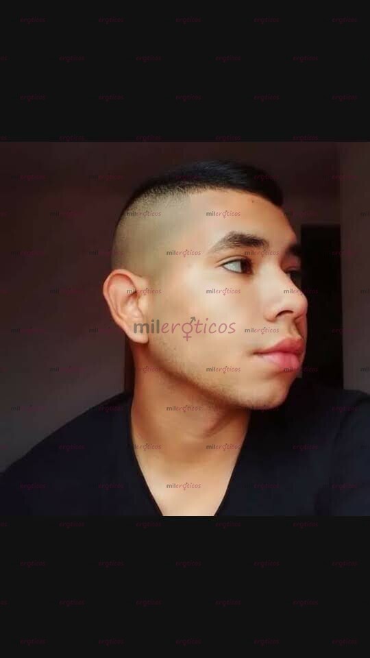 POLLO 100 PASIVO SERIO NALGON Y DESCOMPLICADO (24523421) - MILERÓTICOS